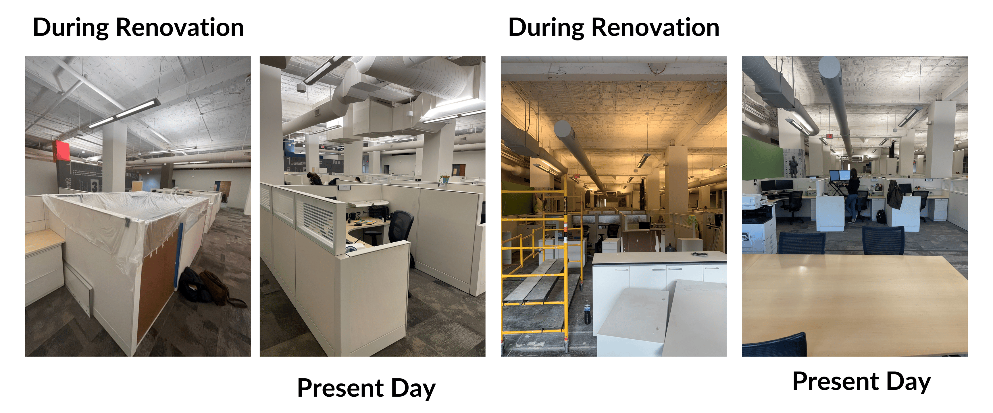 5 Ways to Make your Office More Eco-Friendly